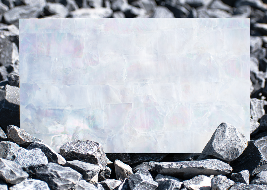 Shell Veneer - Art created by nature