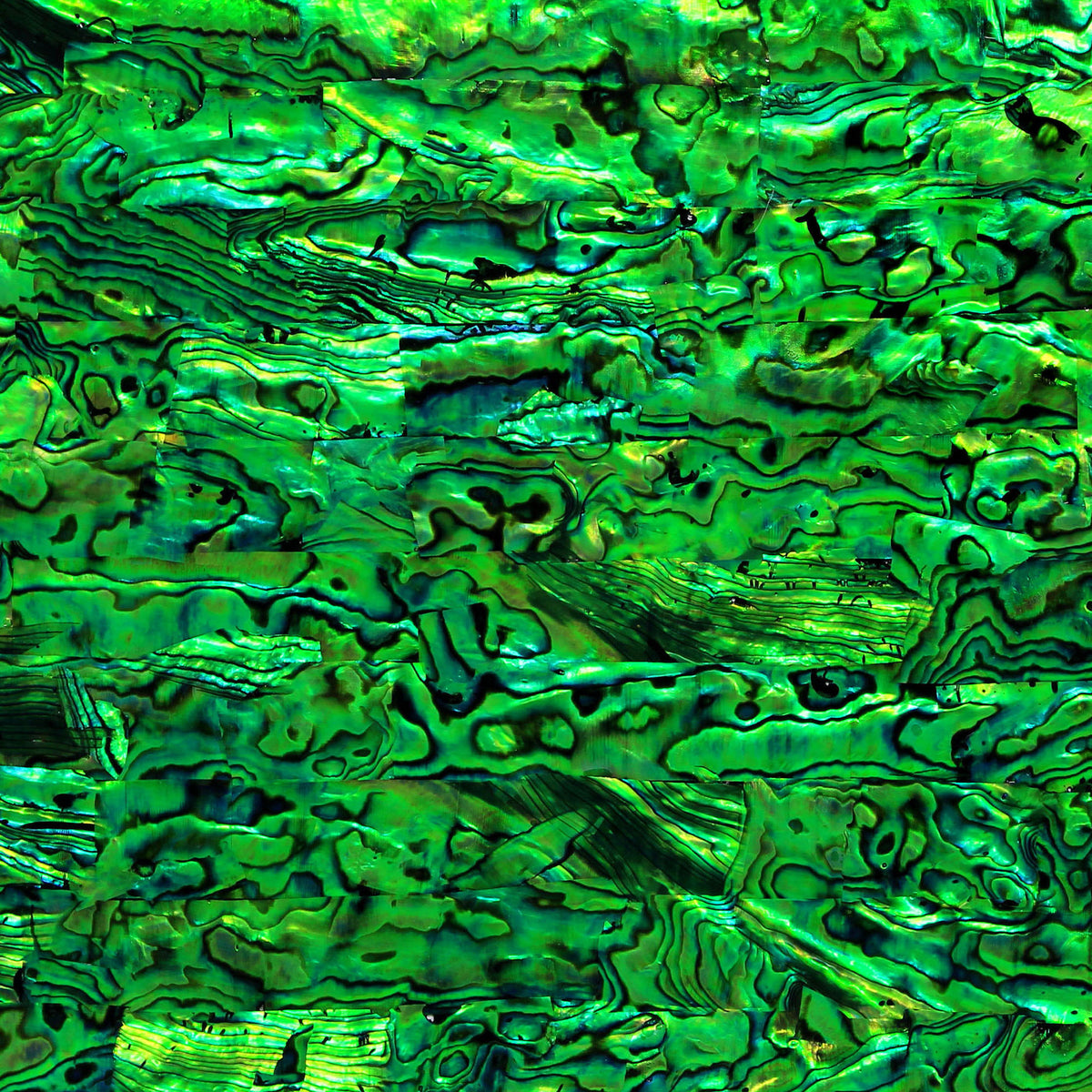 Emerald Green Abalone Shell Veneer