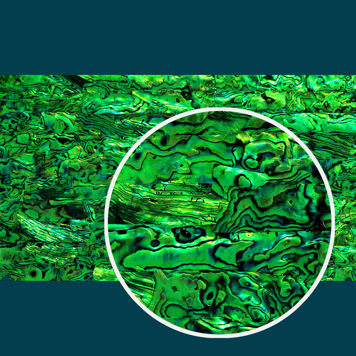 Emerald Green Abalone Shell Veneer