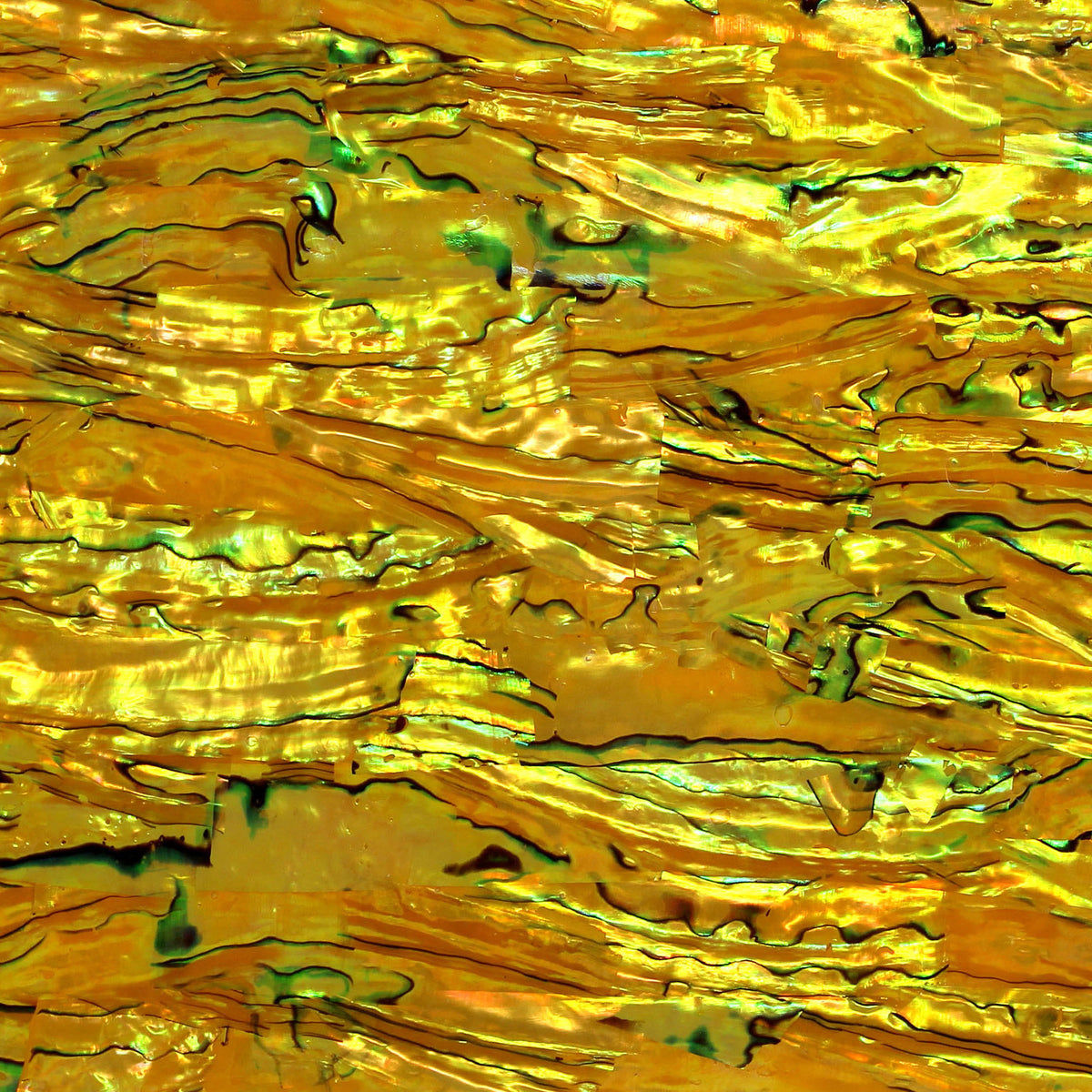 Imperial Yellow Abalone Shell Veneer