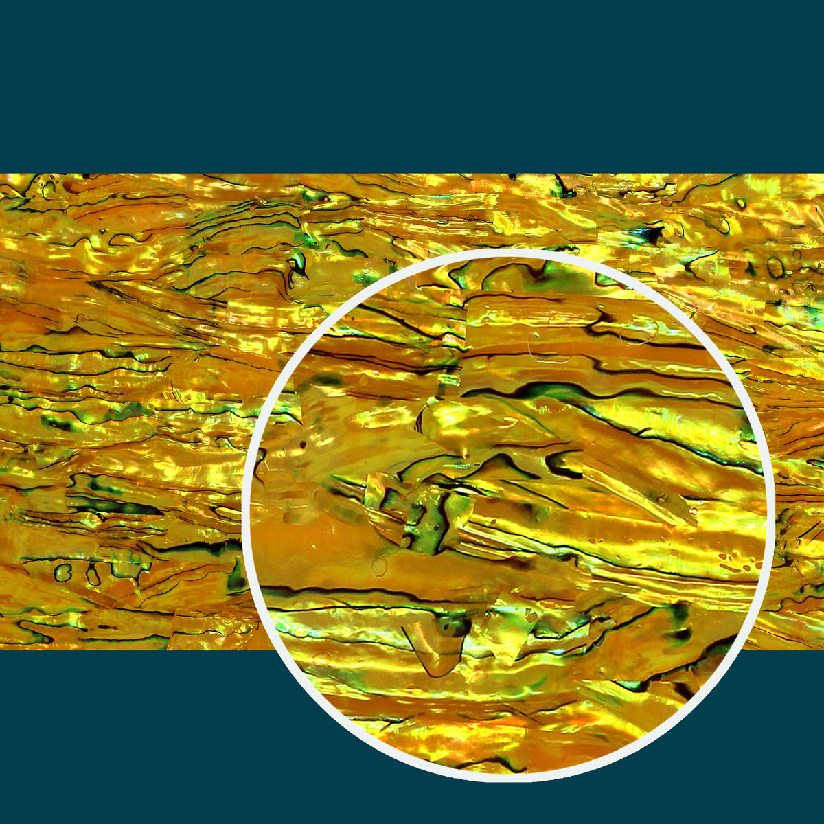 Imperial Yellow Abalone Shell Veneer