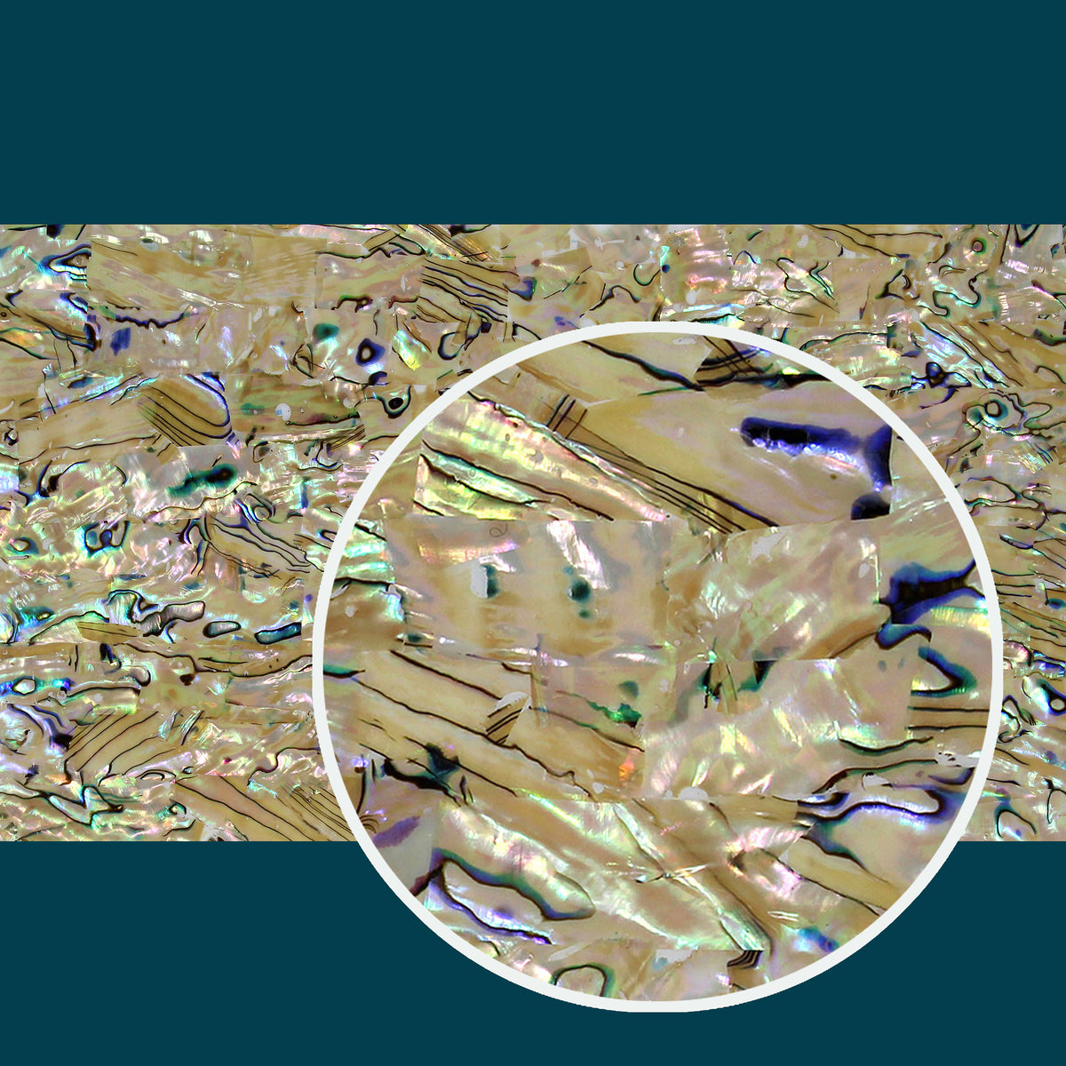 Natural, Extra Light Abalone Shell Veneer