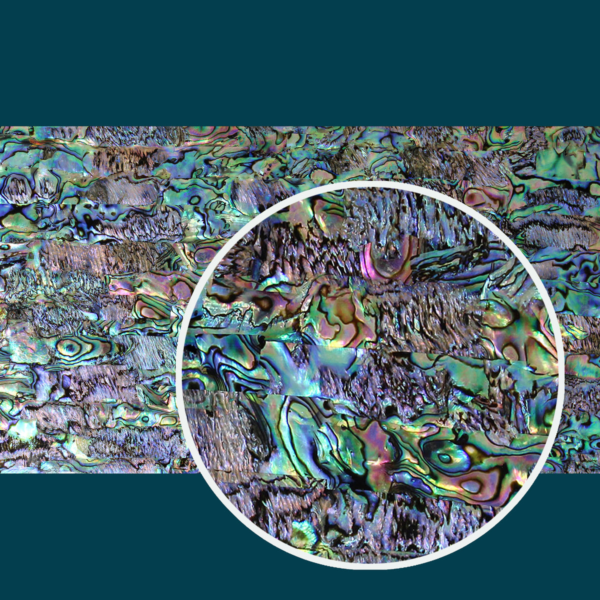 Natural, Opal Abalone Shell Veneer