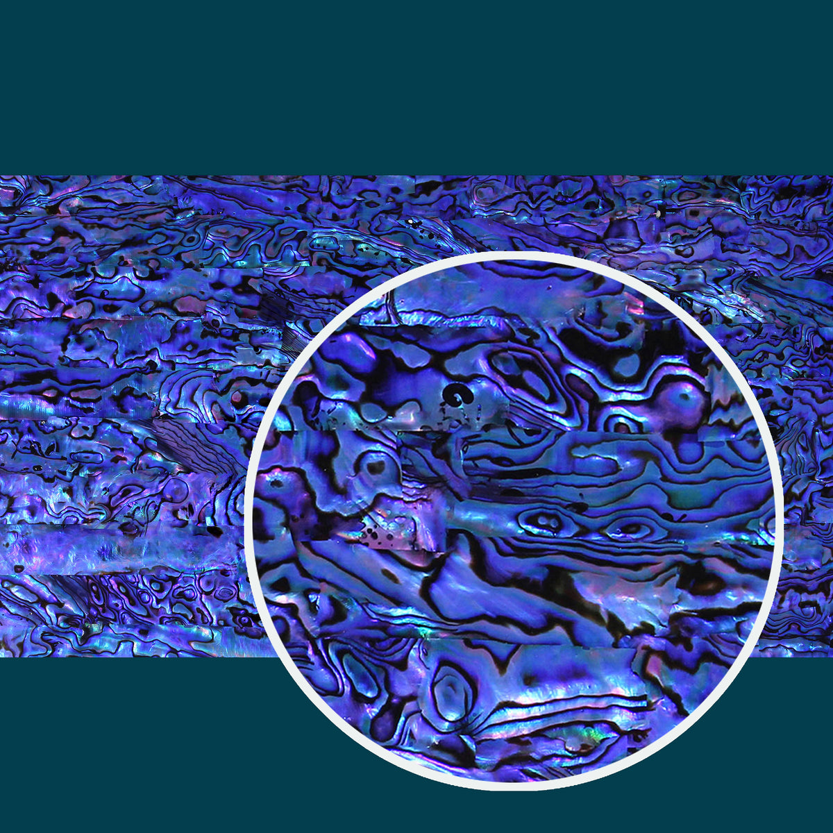 Royal Purple Abalone Shell Veneer