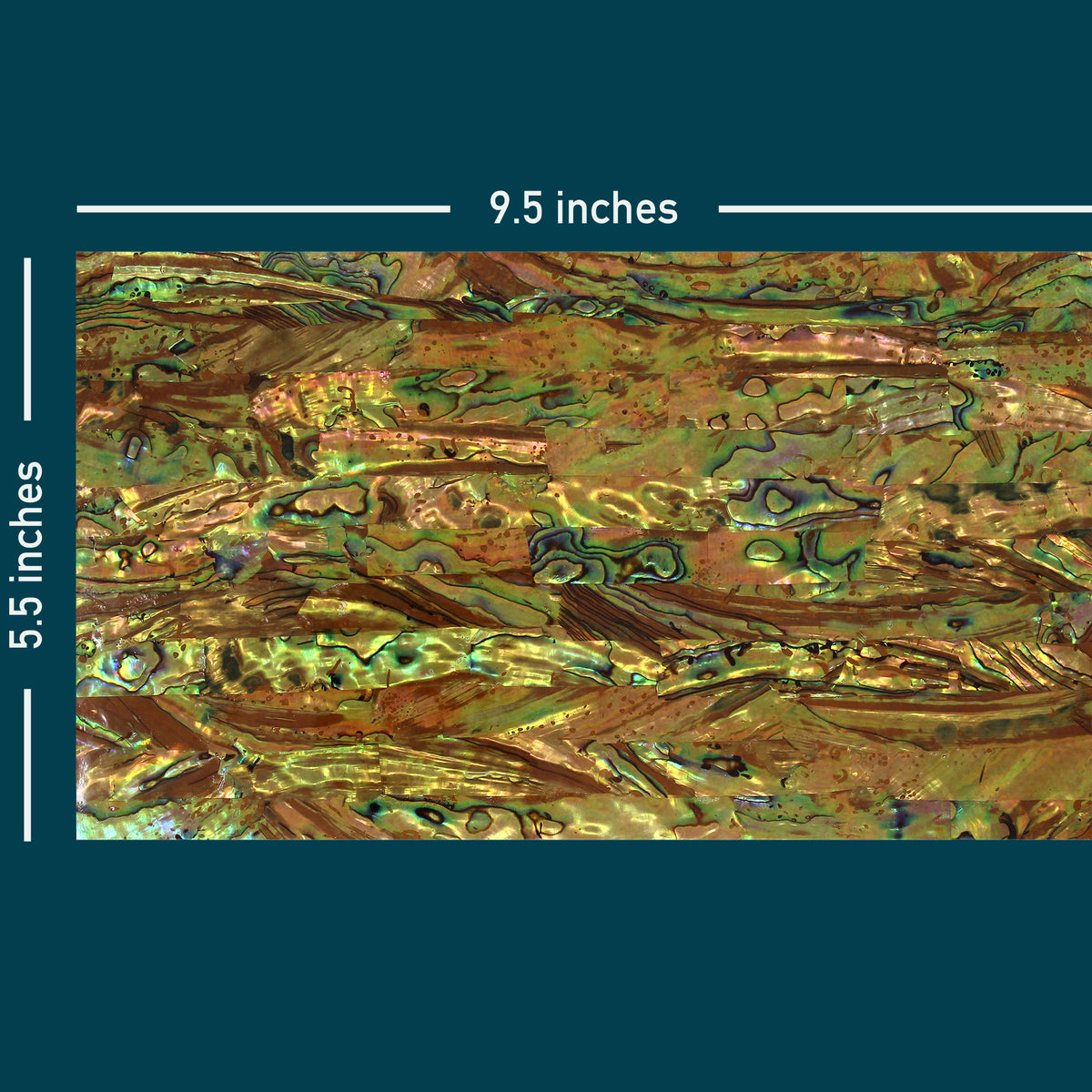 Tigers Eye Abalone Shell Veneer