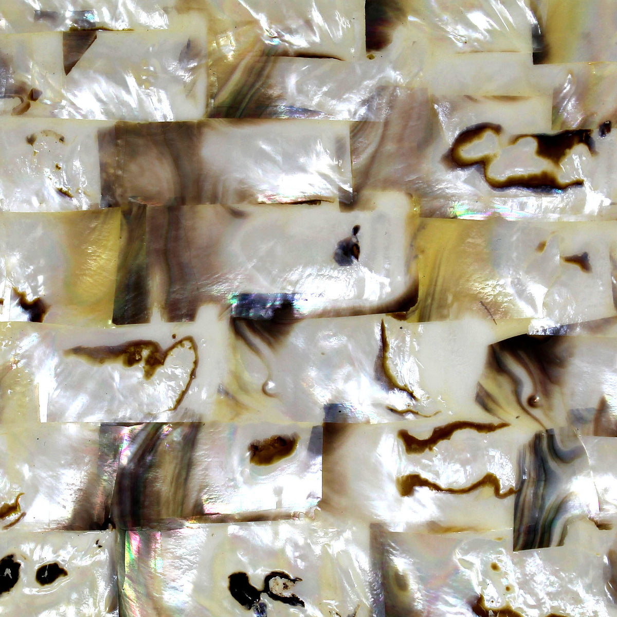 Moonstone Black Mother of Pearl Shell Veneer