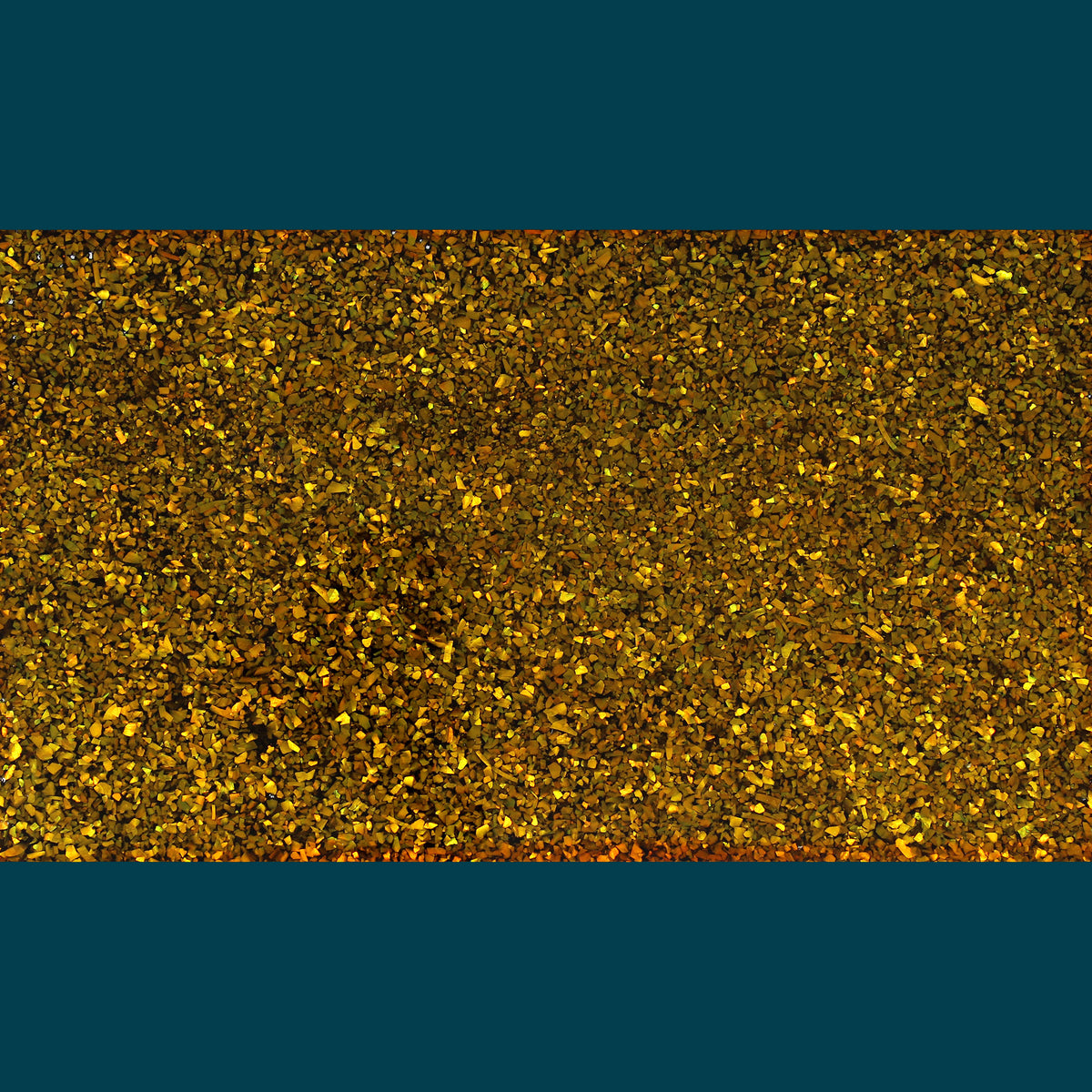 Natural Galaxy Gold Shell Veneer