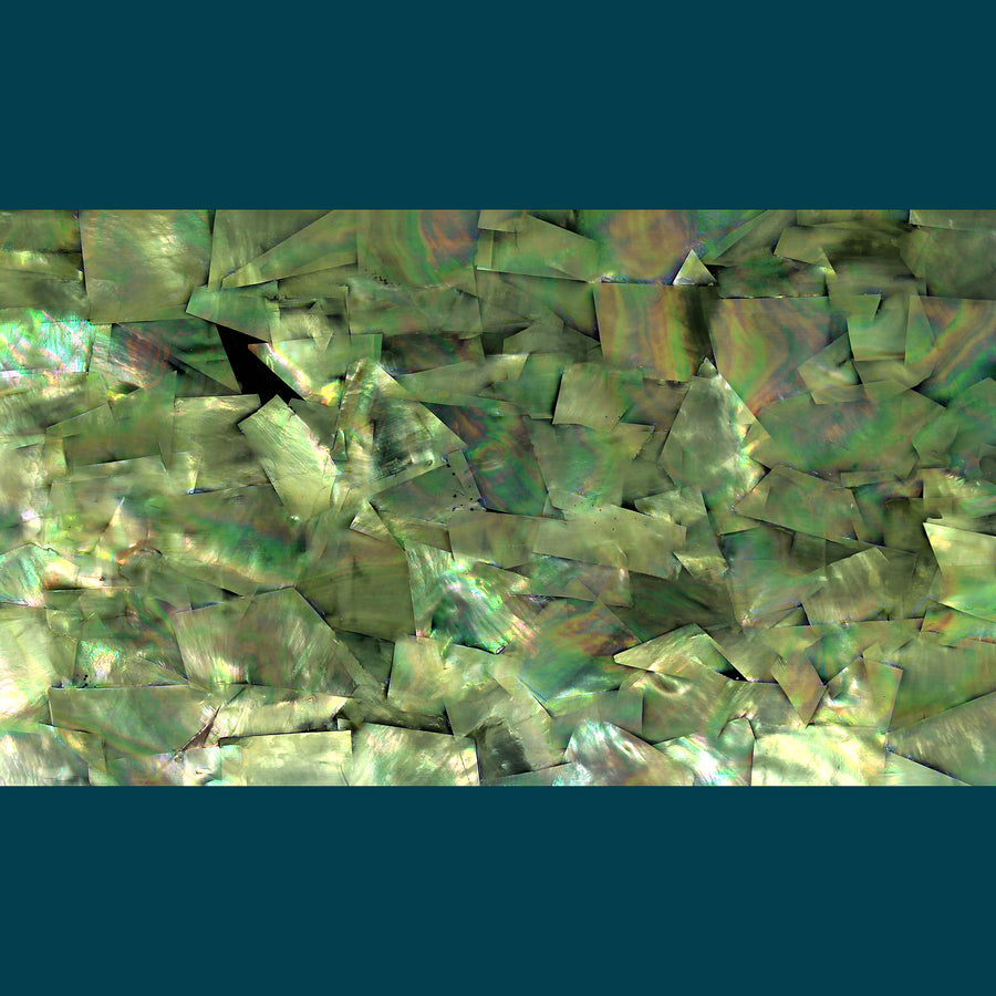 Products – Shell Veneer