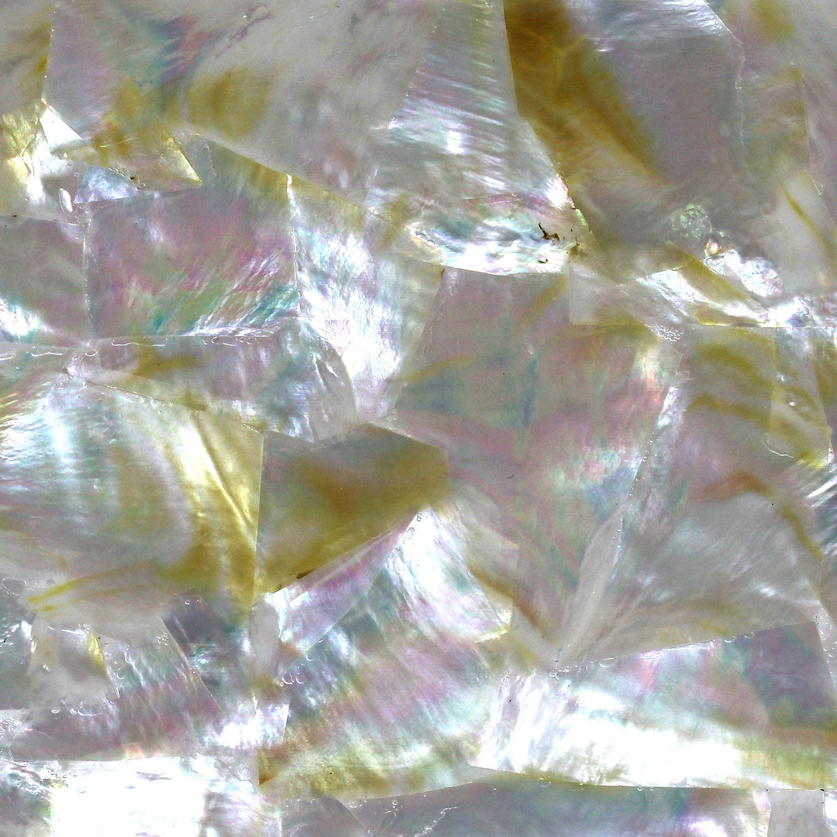 Natural Gold Fleck White Mother of Pearl Shell Veneer