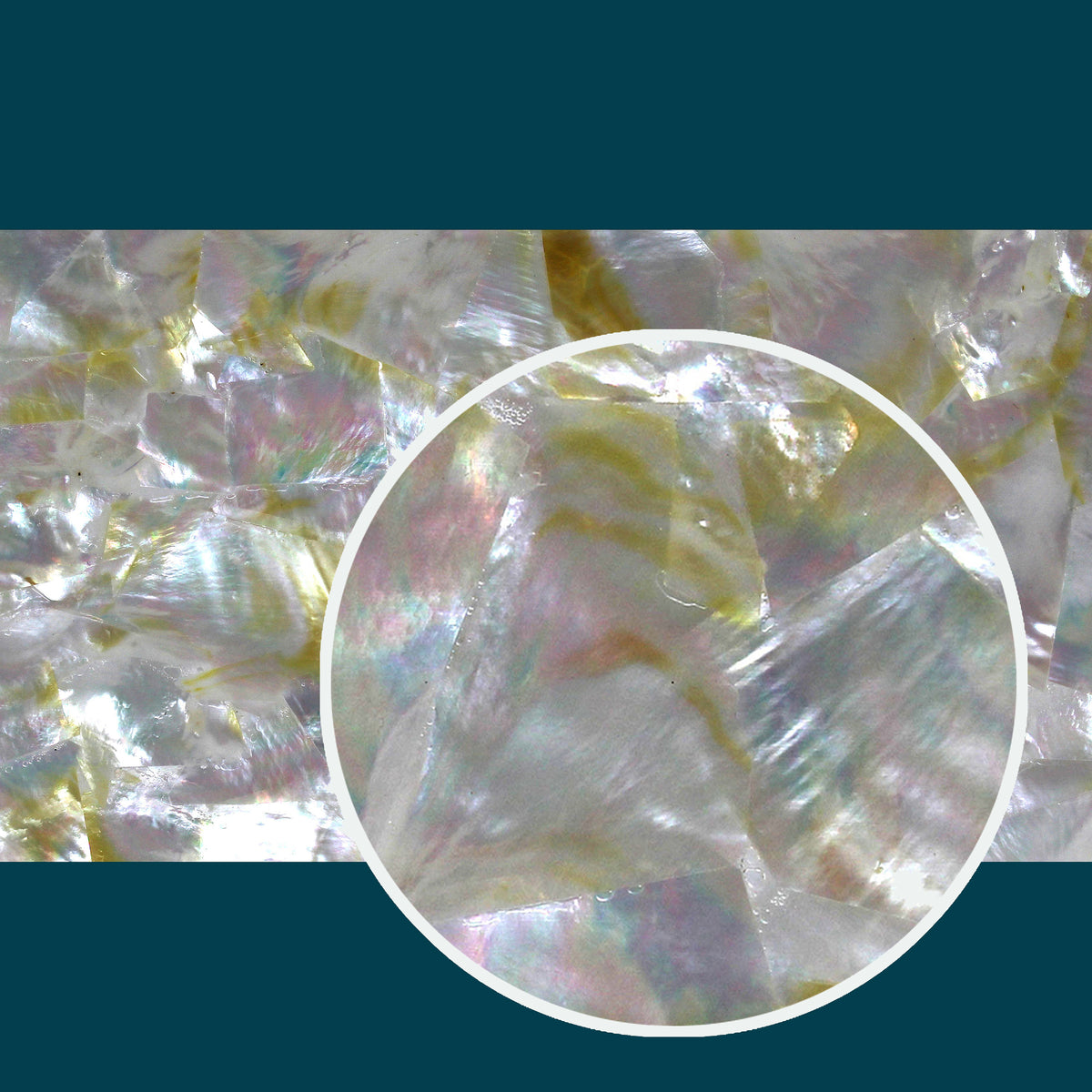 Natural Gold Fleck White Mother of Pearl Shell Veneer