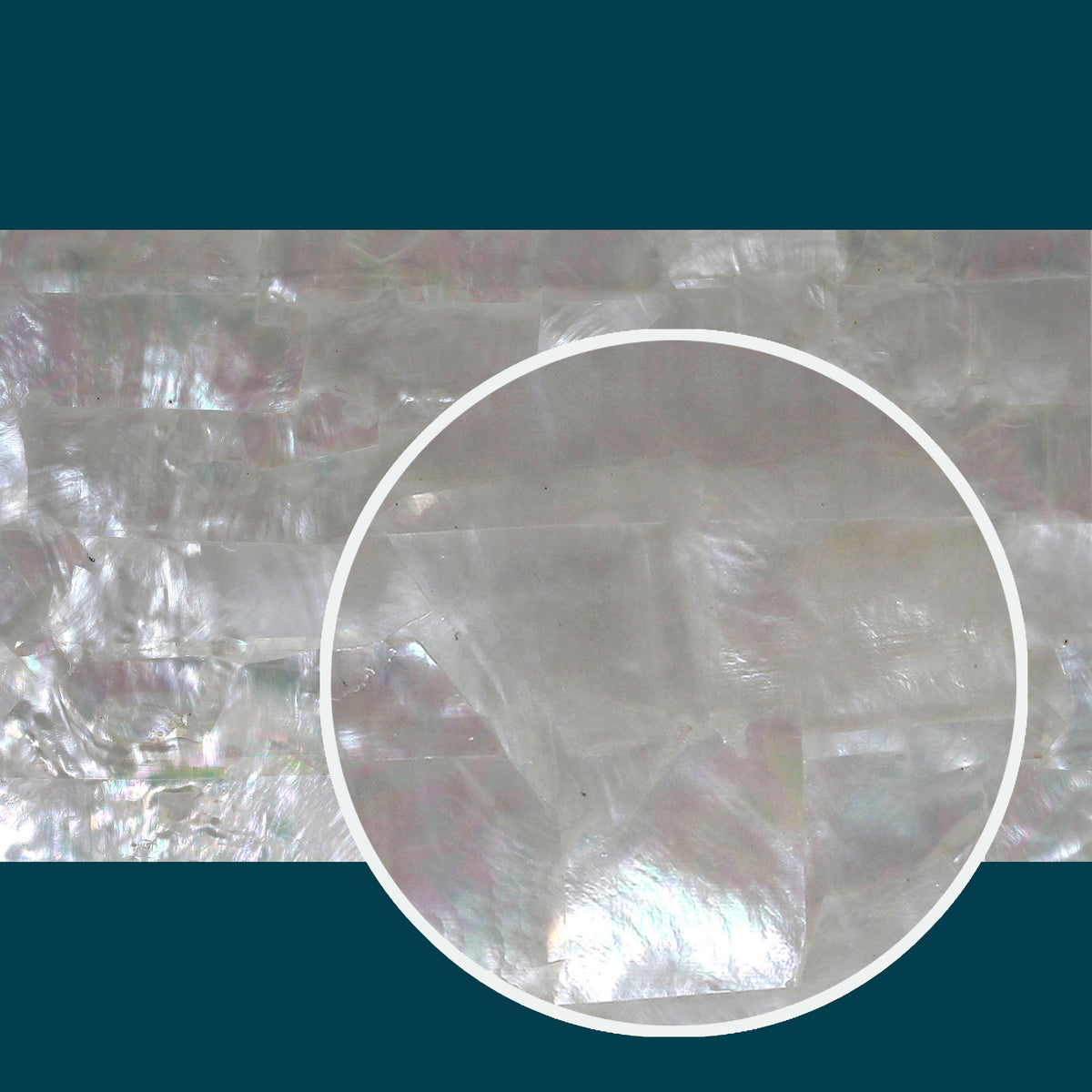 Natural Strip White Mother of Pearl Shell Veneer