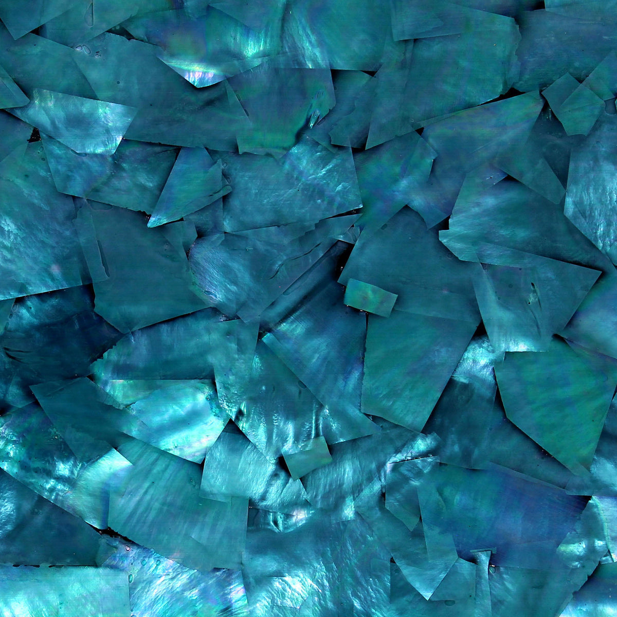 Turquoise Blue White Mother of Pearl Shell Veneer