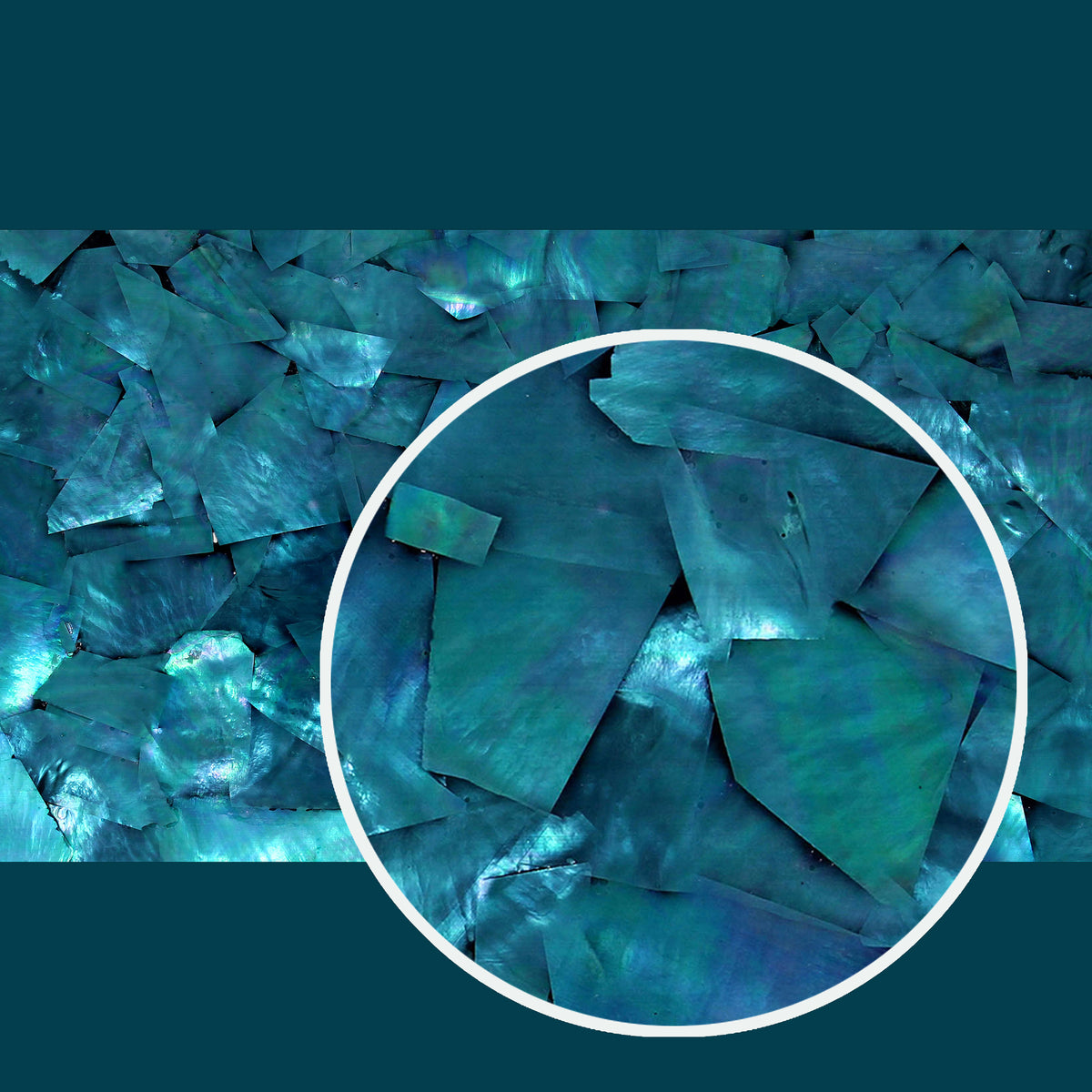 Turquoise Blue White Mother of Pearl Shell Veneer